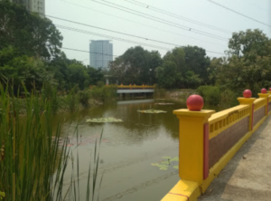 Asal Usul Nama Rawa Buaya Di Jakarta yang Jadi Legenda Lokal dari ...