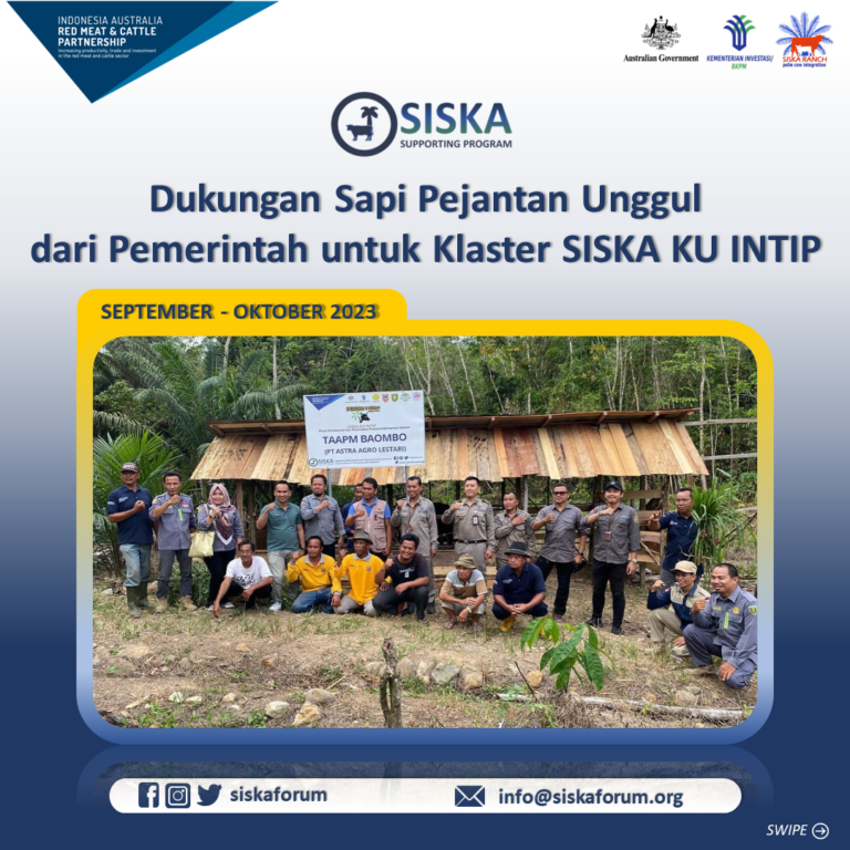 Viral! 11 Aplikasi Pemerintahan yang Namanya Nyeleneh Ada Si Pepek Hingga Si Semok - Haijakarta.id