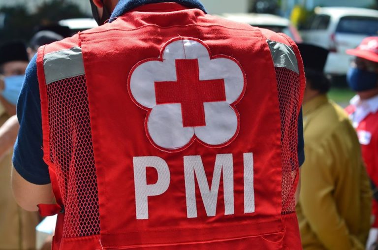 Resmi Dibuka! Daftar Formasi dan Persyaratan Rekrutmen PMI Tahun 2025 ...