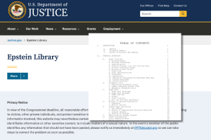 Cara Download Jeffrey Epstein Files PDF Komplit dengan Foto & Video ...